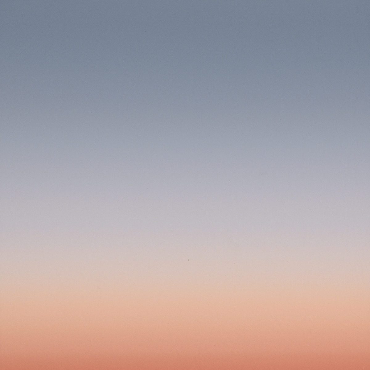 Ray — Calico Wallpaper