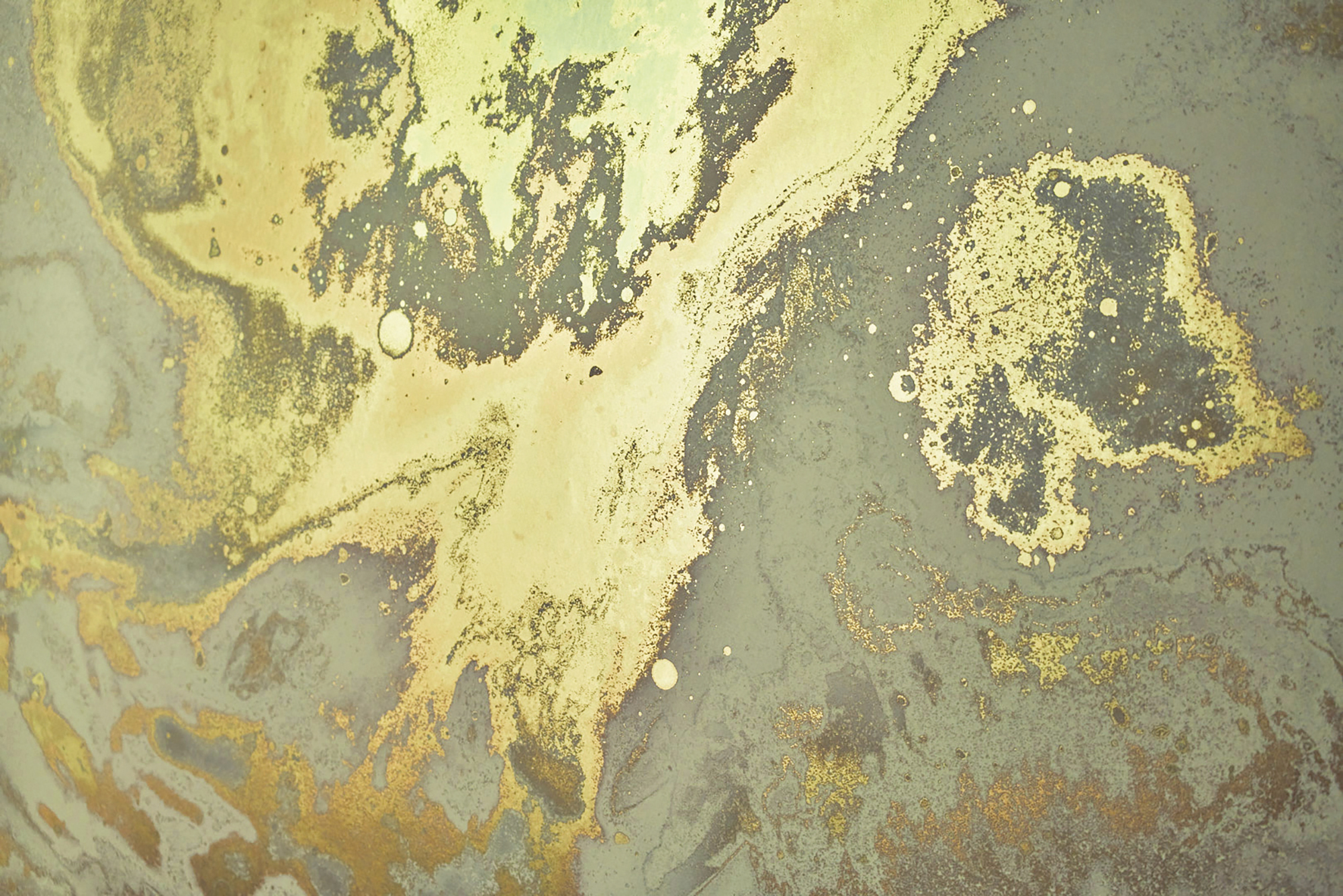 Corona — Calico Wallpaper