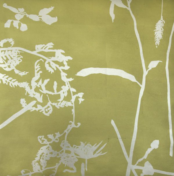 Ginger — Calico Wallpaper