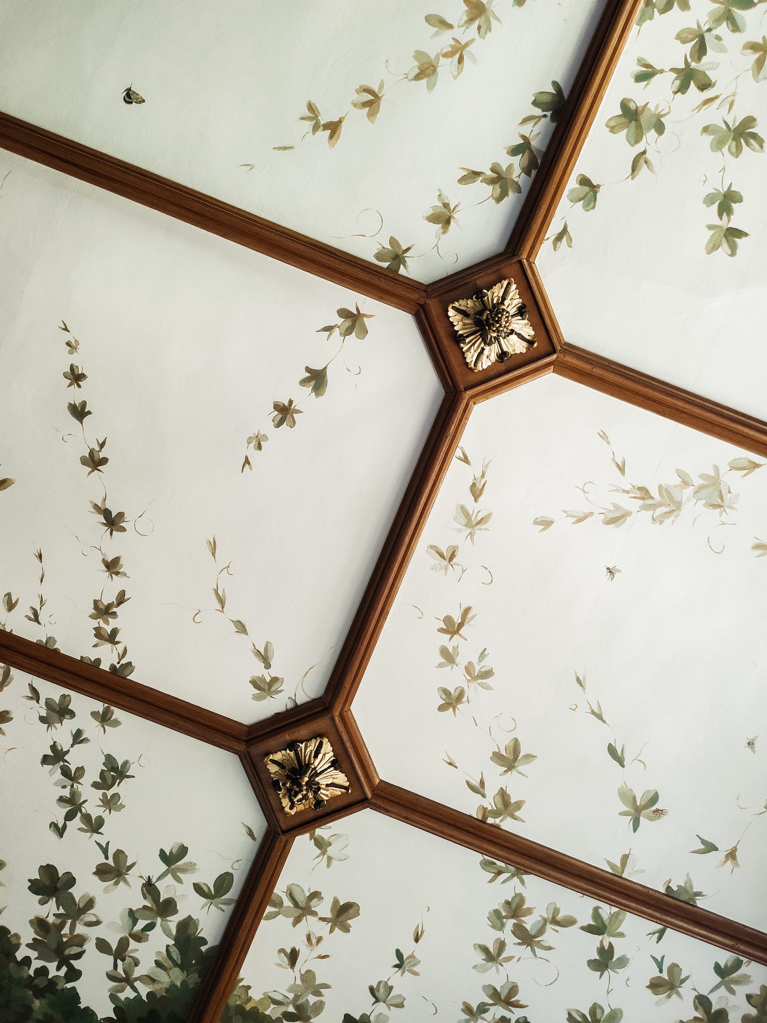 Overgrow | Calico Wallpaper x Charlap Hyman & Herrero — Calico Wallpaper