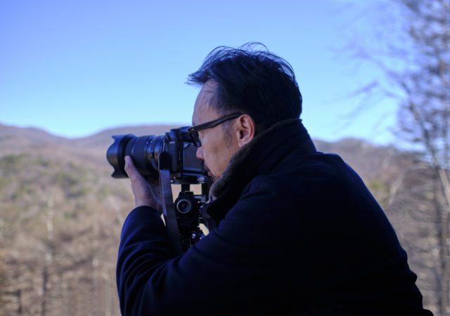 Interior Design: Fall Market Tabloid - Tableau — Calico Wallpaper