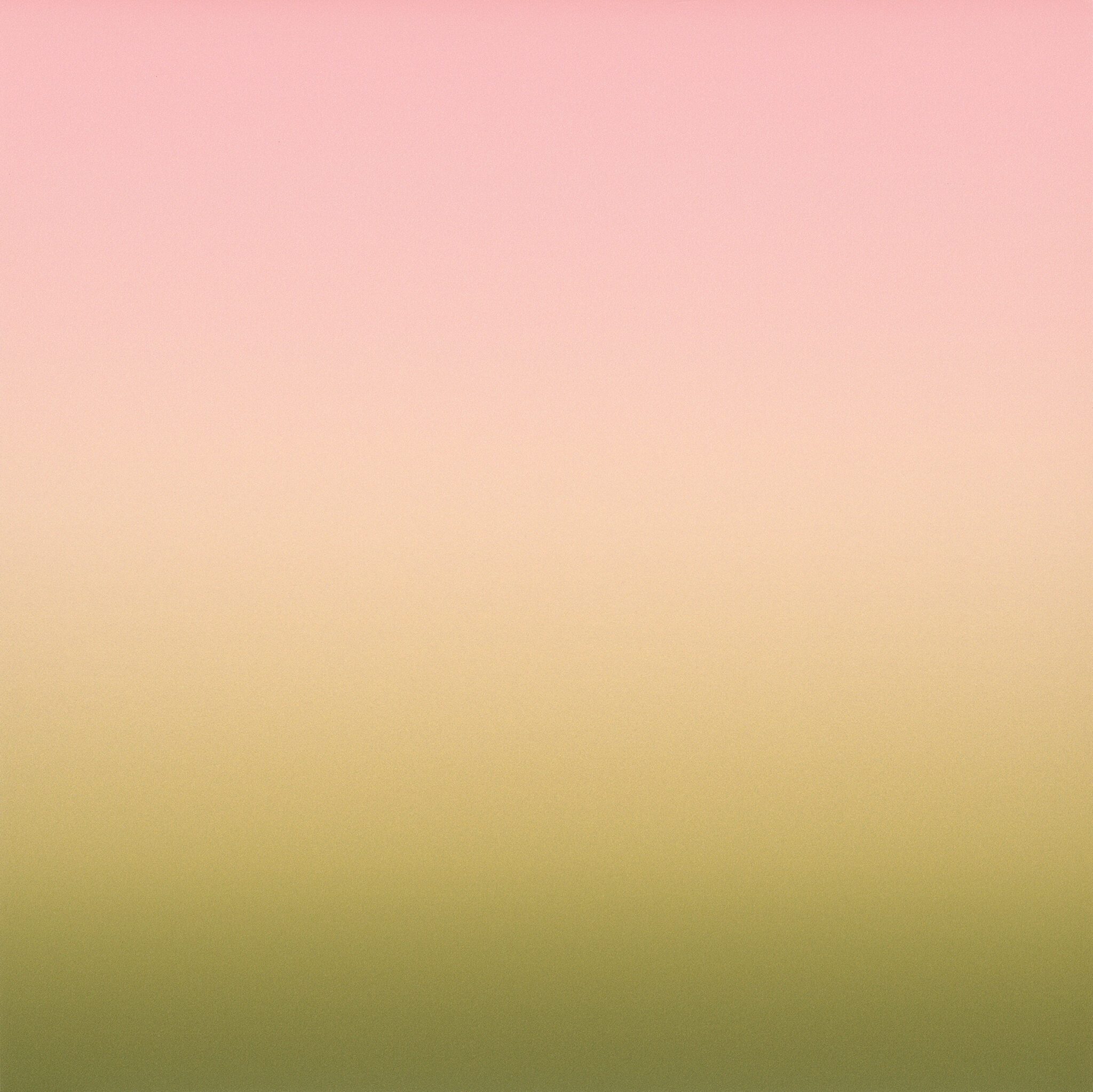Aurora — Calico Wallpaper