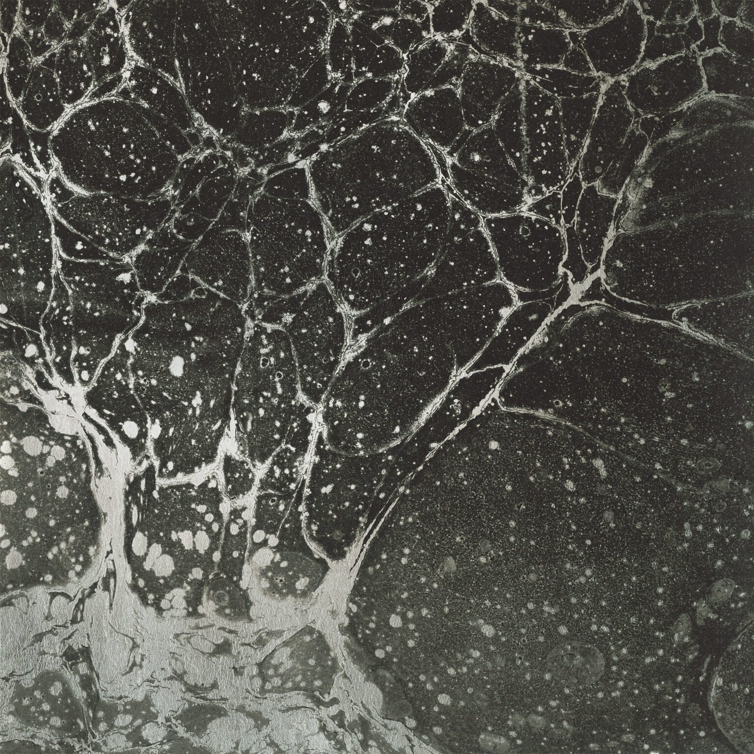 Midnight — Calico Wallpaper