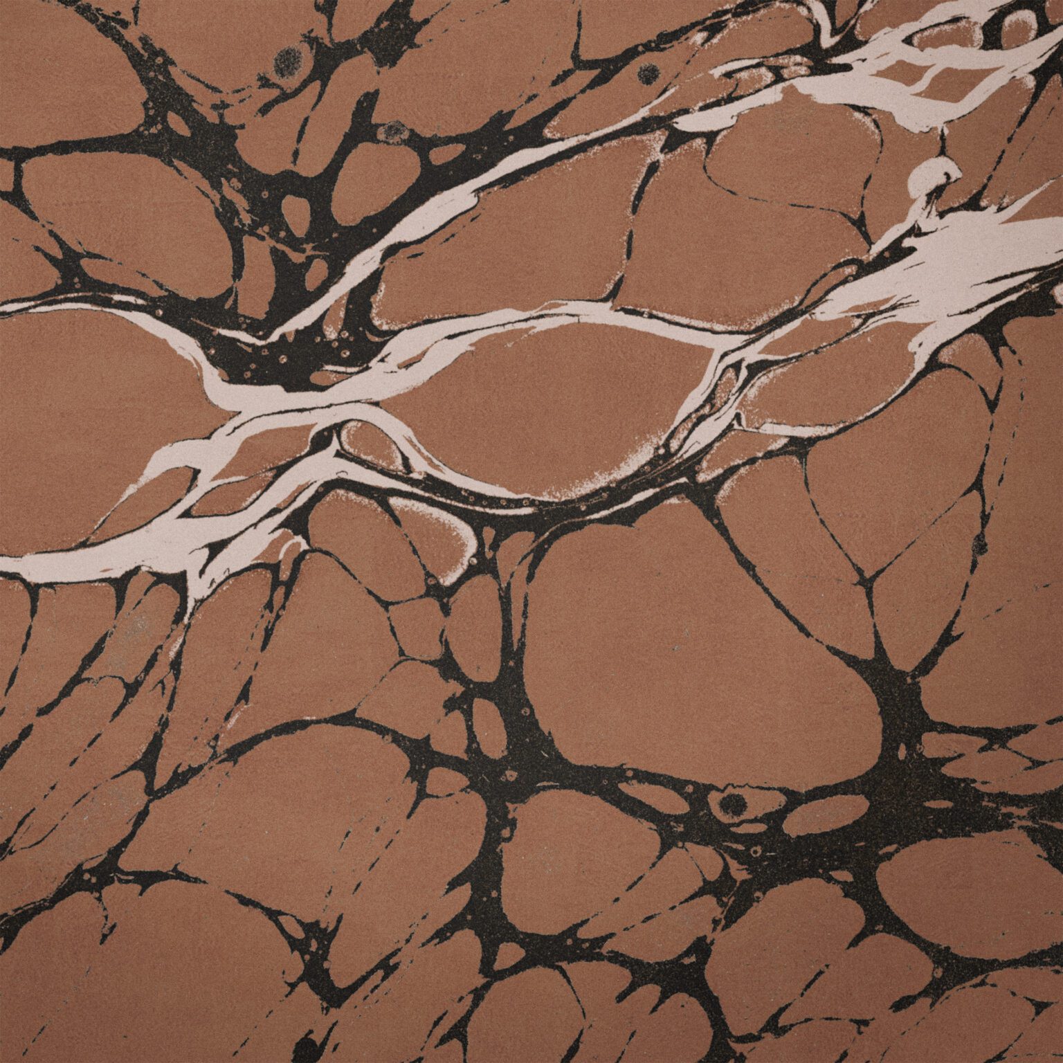 Night — Calico Wallpaper