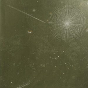 Stargaze — Calico Wallpaper